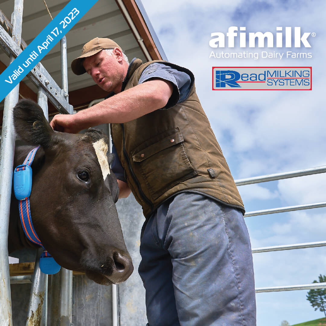 Win 100 AfiCollars and Drafting Gate - by Afimilk